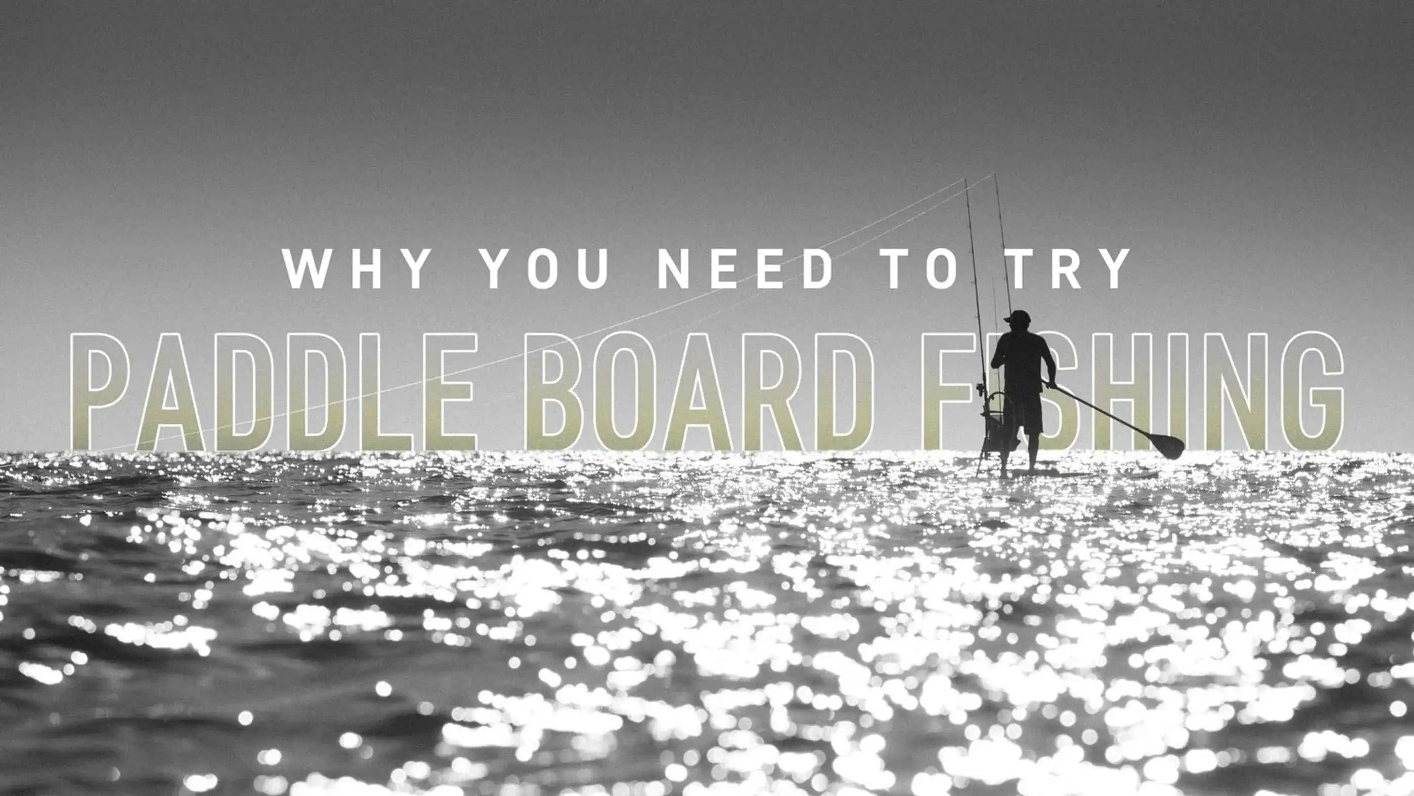 Why you need to try SUP Fishing – Wild Coast Kayaks